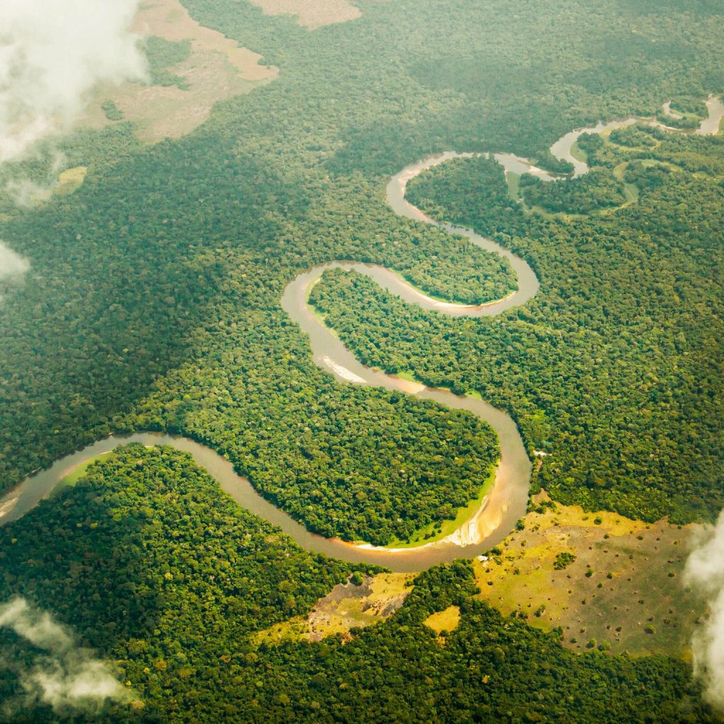 Best Congo Trips & Tour Packages 2023/2024- TMD Travel